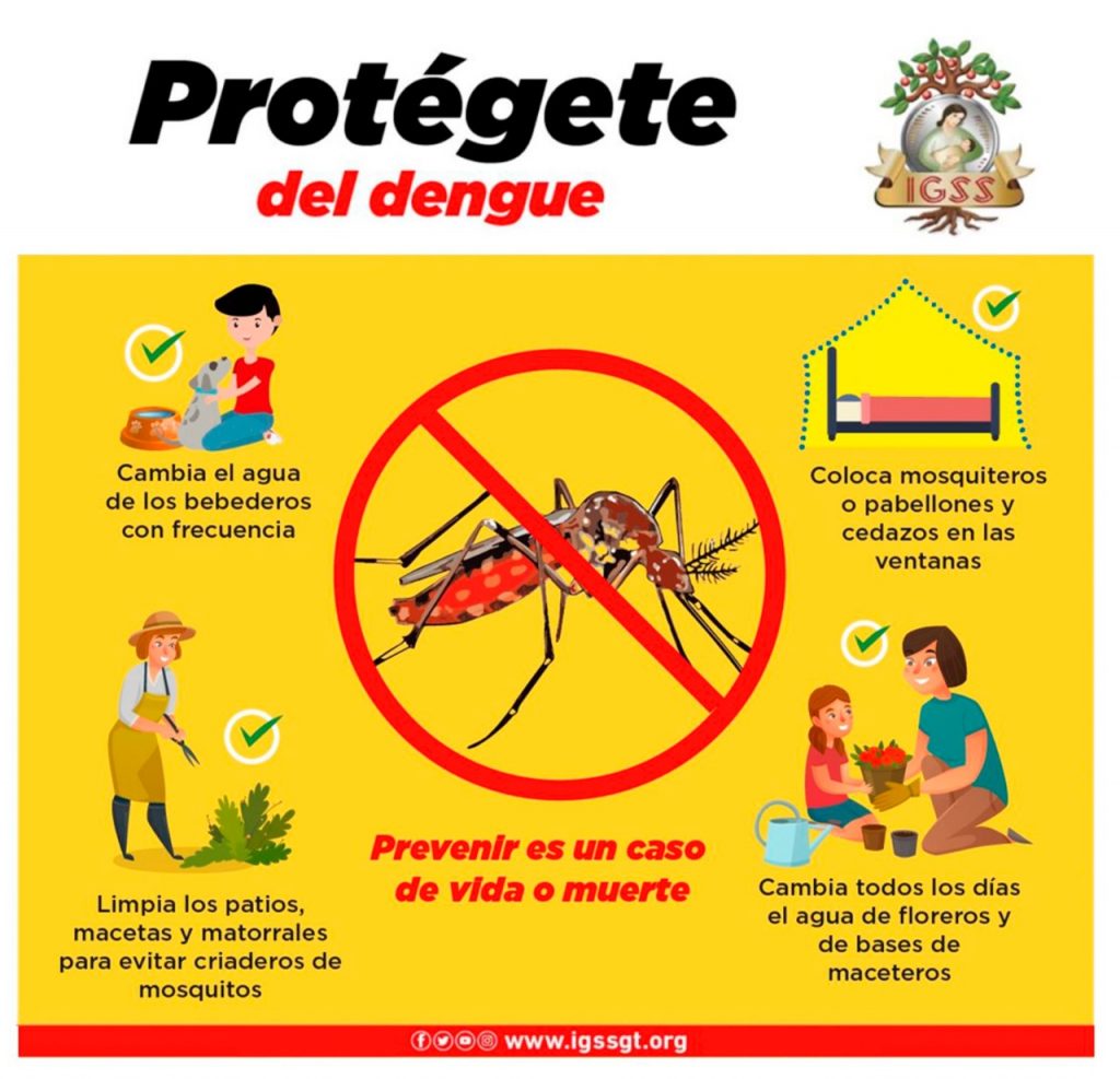Prevenga el dengue - Noticias IGSS
