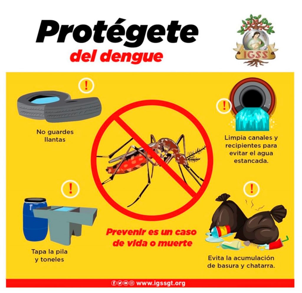 Prevenga el dengue - Noticias IGSS