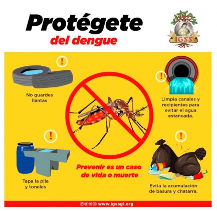 Prevenga el dengue - Noticias IGSS