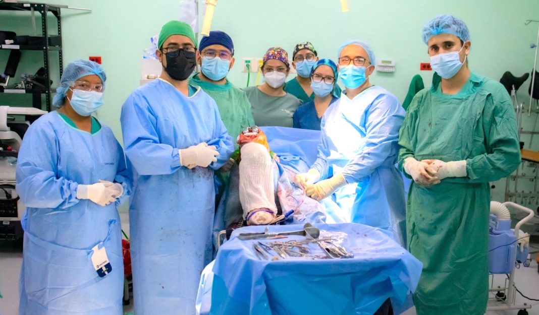 Realizan primer reemplazo total de rodilla en el Hospital General de ...